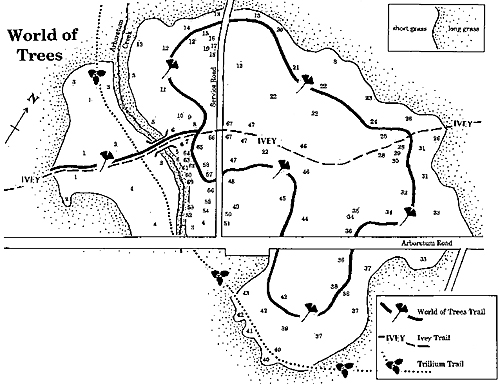 World of Trees | The Arboretum
